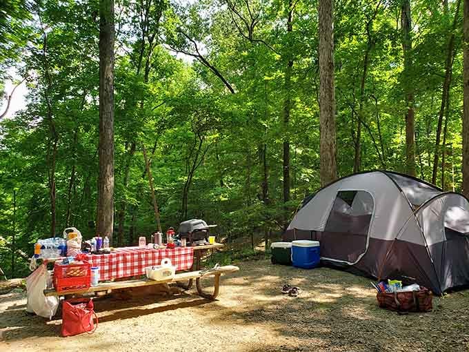 Classic camping setup complete with checkered tablecloth&mdash;because even in the woods, presentation matters.