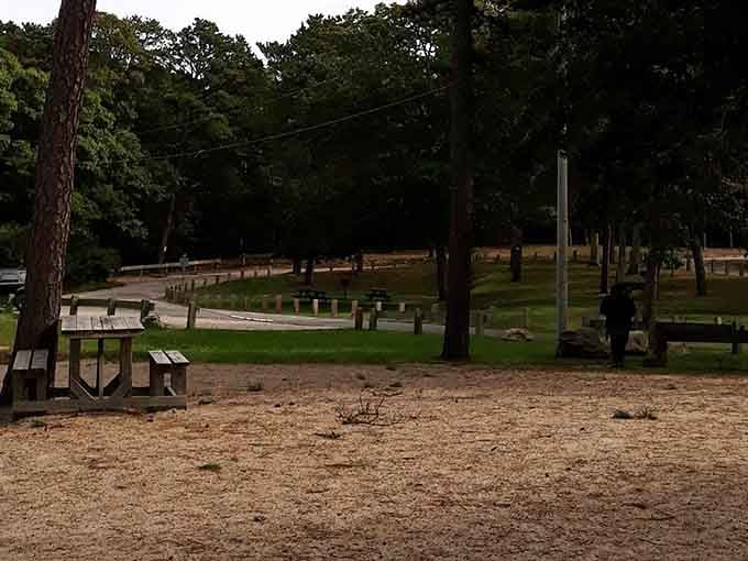 The scenic drive in sets the stage for the aquatic main event waiting beyond the trees.