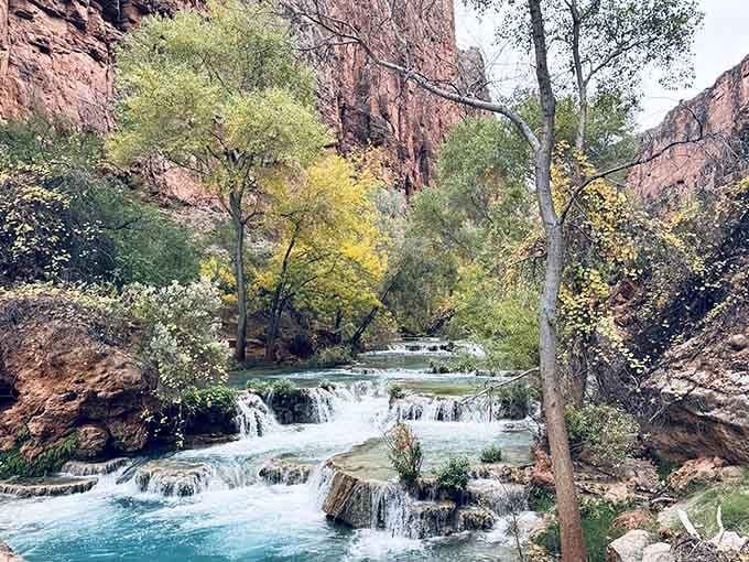 Havasu Creek creates terraced pools that look like someone designed a luxury resort, except Mother Nature did it first.