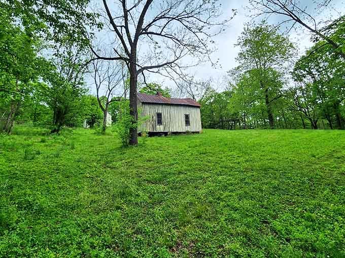 Nature's patient takeover turns the village into a lush green sanctuary where history meets wilderness beautifully.