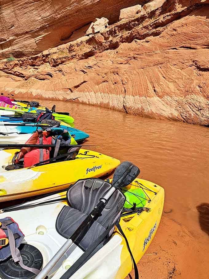 A fleet of kayaks resting after exploration, each one carrying stories of the day's discoveries.