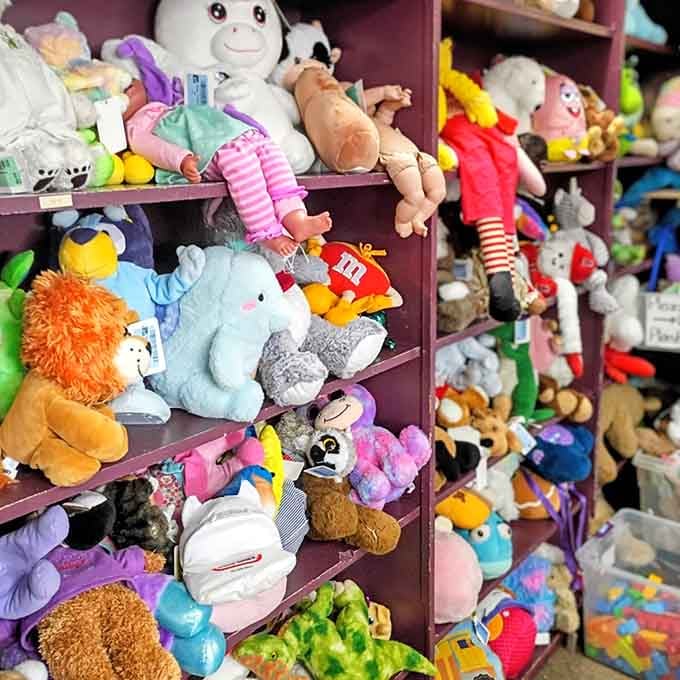 Plush toys lined up like the world's cutest adoption agency, each one seeking a loving home.