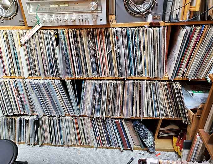 Vinyl records stacked floor to ceiling promise analog warmth that streaming services will never quite capture or replicate.