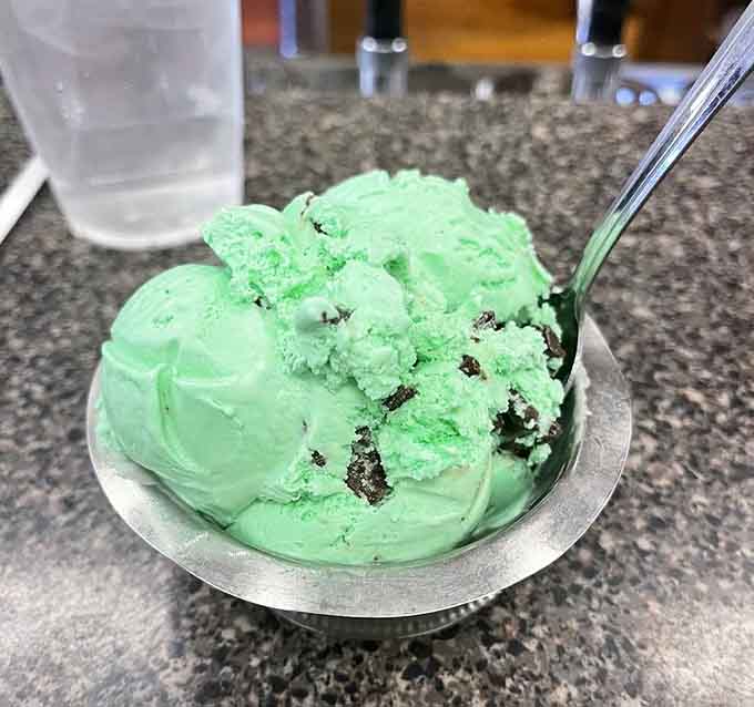 Mint chip ice cream this vibrant proves that sometimes the classics need no improvement whatsoever, just appreciation.
