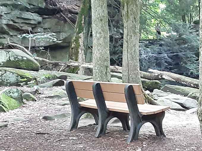This bench has the best view in Knox County, and it doesn't even charge admission for the show.