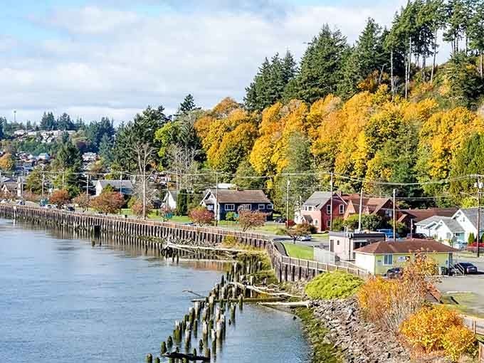 Fall colors frame the riverfront where old pilings tell stories of Hoquiam's working waterfront past and present.