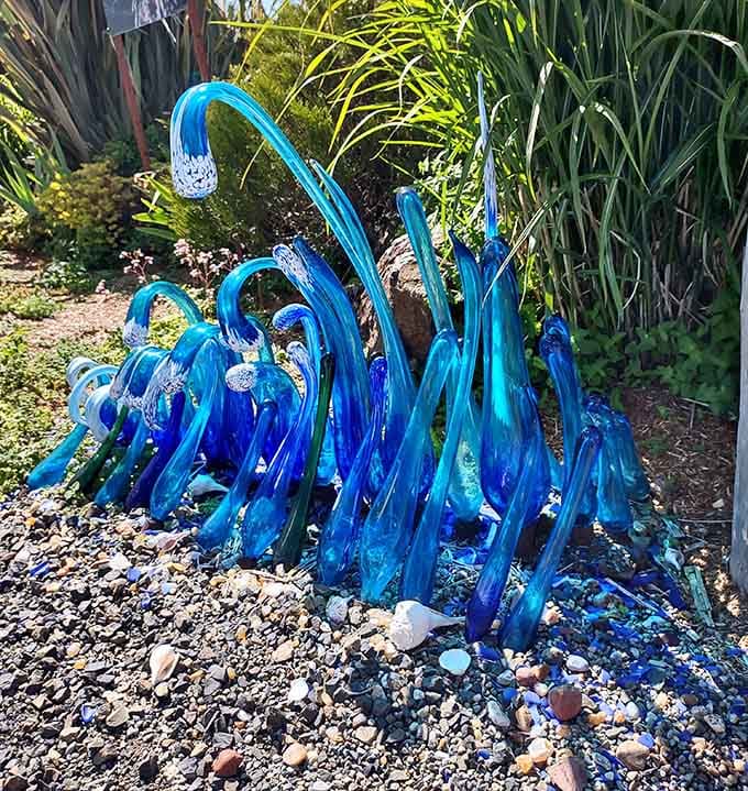 These blue glass sculptures rise from the garden like frozen waves, catching sunlight in ways that justify stopping.