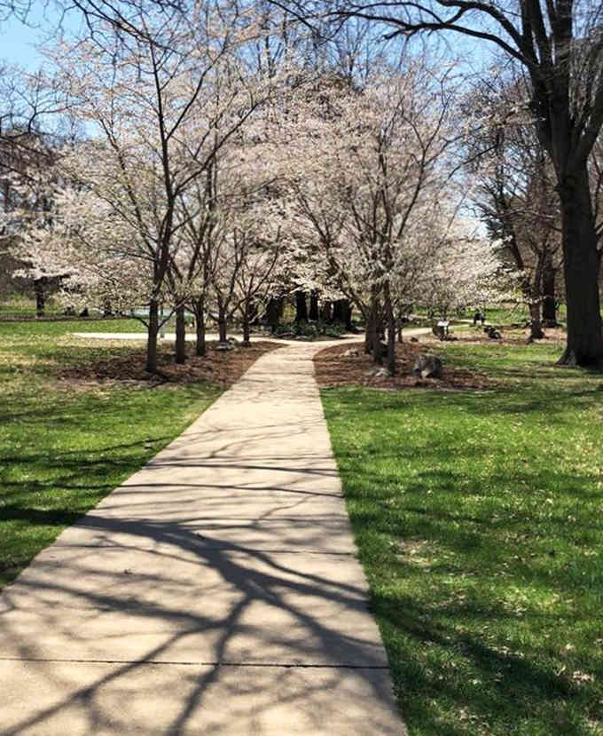 This walkway leads through clouds of blossoms that make you forget you're landlocked in the Midwest.