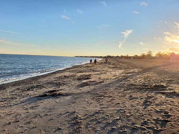 Golden hour transforms ordinary sand into something magical, proving nature's lighting department never disappoints anyone.
