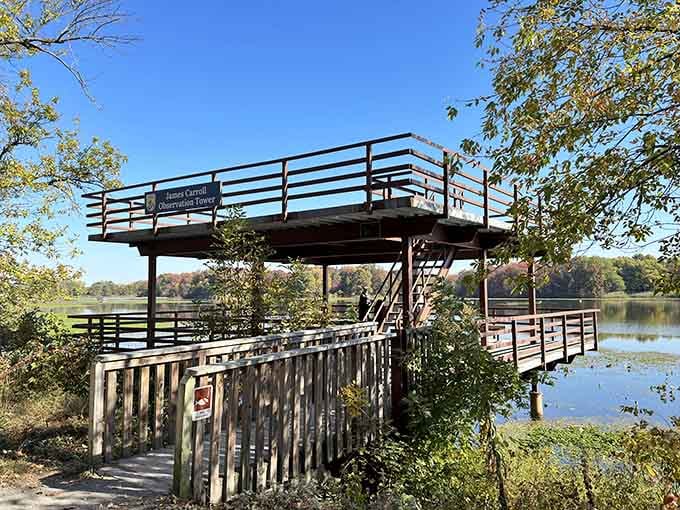 The observation tower stands ready for bird watching adventures that beat any streaming service marathon.