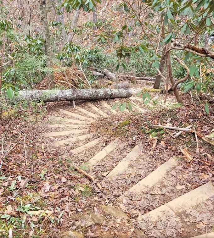 Stairs that say "we're going up," but in the friendliest possible way for your knees.