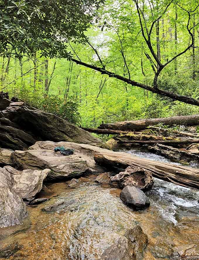 These rocks have seen more action than a Hollywood stunt double, shaped by water into nature's own sculpture garden.
