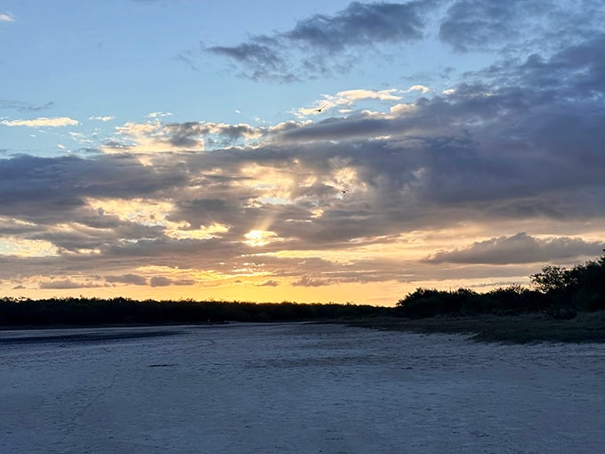 Golden hour at La Sal del Rey proves that South Texas sunsets can compete with anywhere on Earth.