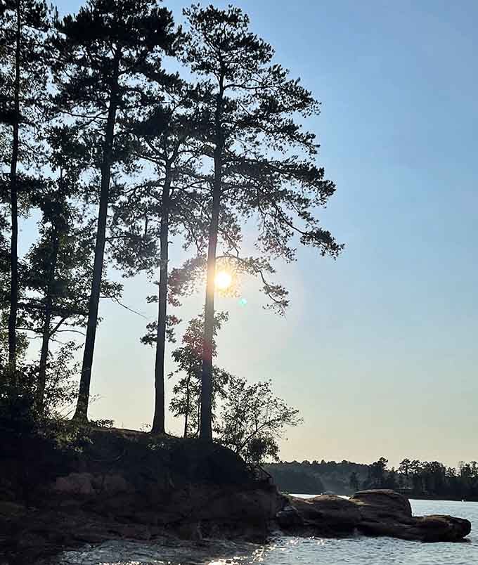 Sunrise through the pines, nature's way of saying good morning without needing any coffee first.