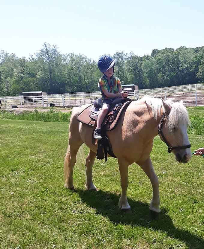 Young riders learn confidence and compassion atop gentle horses, creating memories that'll last longer than any video game high score.