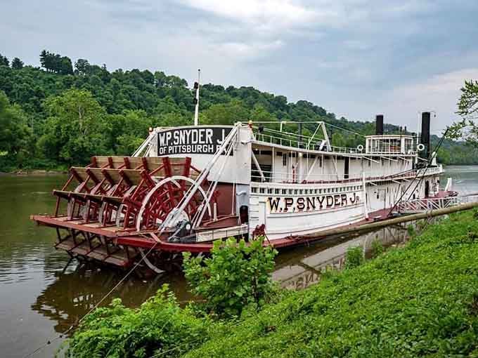 The W.P. Snyder sternwheeler sits majestically, offering glimpses into river history without the tourist trap pricing.