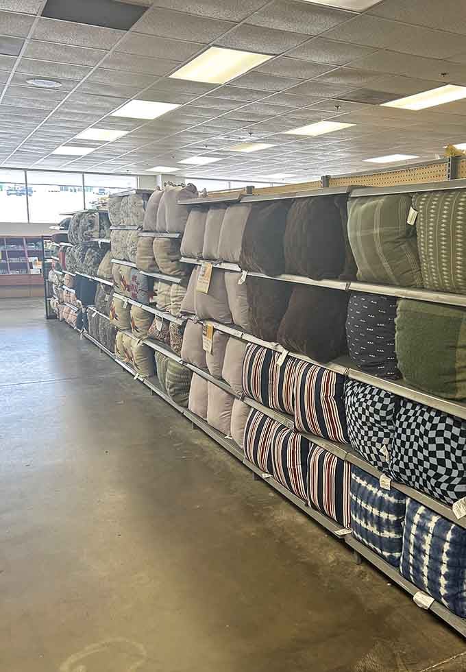 Throw pillows stacked high enough to build a comfort empire, transforming any couch into a designer's dream affordably.