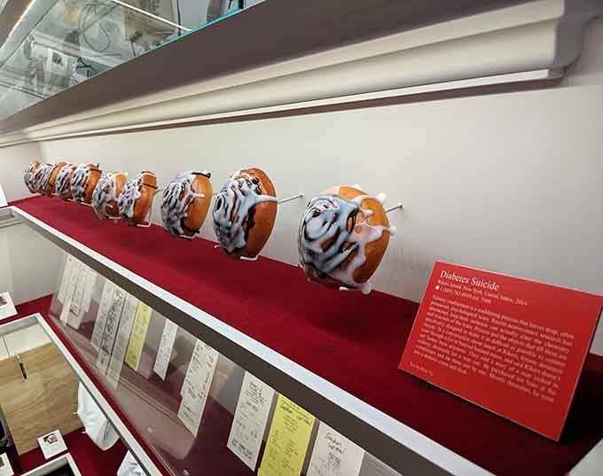 Even donuts get the museum treatment here, proving that contemporary culture deserves the same scrutiny as ancient pottery.