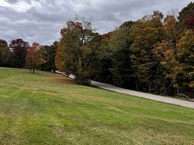 Rolling hills and autumn trees frame a road that looks like a postcard you'd actually want to receive.