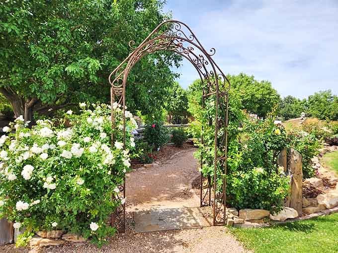 Montrose Botanic Gardens proves you don't need Versailles money to enjoy spectacular floral displays.