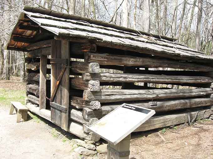 Step back in time at this authentic log cabin, where rustic craftsmanship tells the story of early mountain settlers' lives.