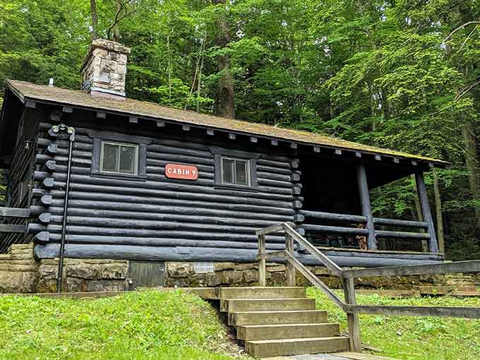 This rustic cabin with its stone chimney looks like it stepped straight out of a storybook about simpler times.