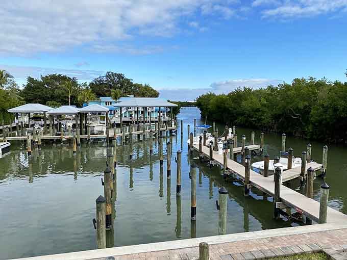 Boat slips nestle among mangroves, offering front-row seats to nature's own aquarium and nursery combined.