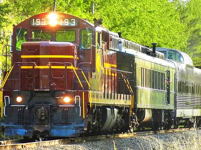 When your commute involves rolling through sun-dappled forest with headlights blazing, you're doing something magnificently right.