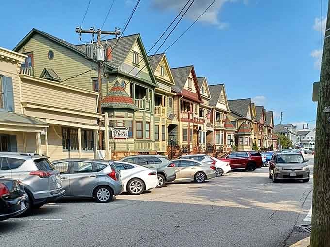 Cars lining the street like a Victorian-era rainbow that actually improved with age, unlike us.
