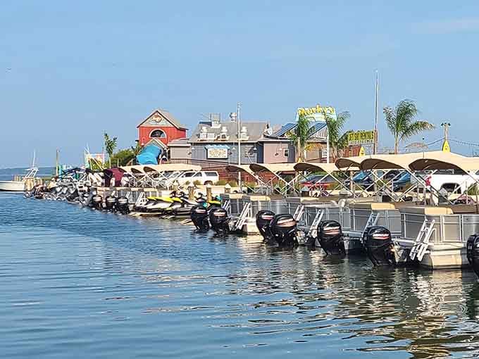 Colorful umbrellas dot the bayside marina where boats bob peacefully, waiting for their next aquatic adventure.