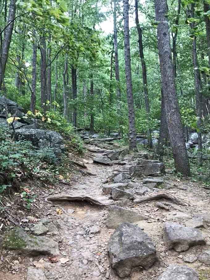 This is what "moderate difficulty" looks like when the Park Service is being extremely generous with terminology.