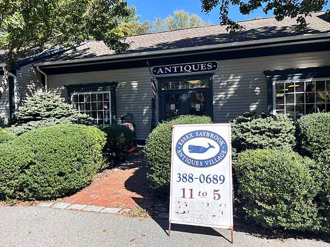 Essex Saybrook Antiques Village: where your spouse's "just browsing" becomes a trunk full of treasures.