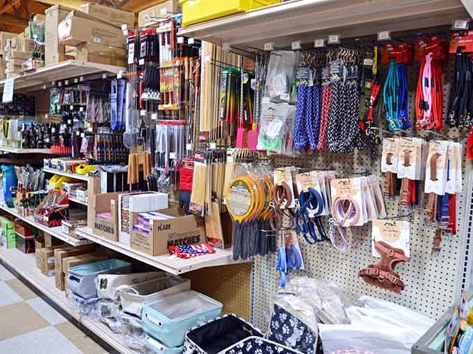 Pet supplies and household essentials organized perfectly for those who appreciate both their furry friends and their wallets.