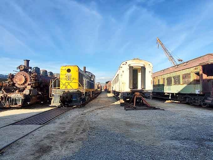 A rainbow of vintage railway cars waiting patiently in the yard, each one a chapter in California's transportation story.