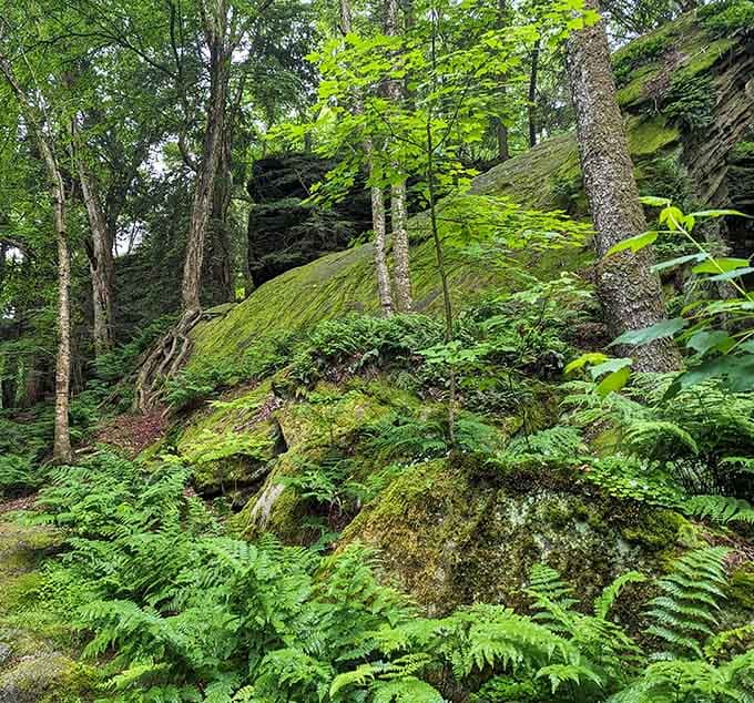 Ferns flourish between geological giants, creating a lush green paradise that looks straight out of a dinosaur documentary.