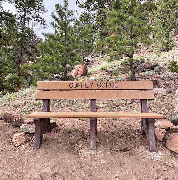 This bench offers the perfect spot to contemplate why you don't spend more time in places like this.