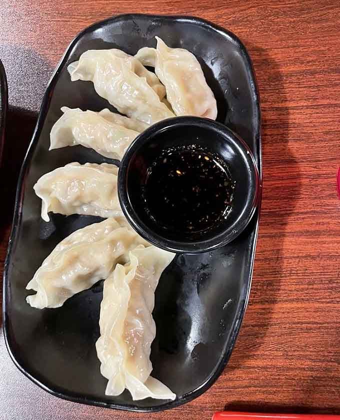 Delicate gyoza dumplings arrive with just the right amount of crispy bottom and tender, flavorful filling inside.