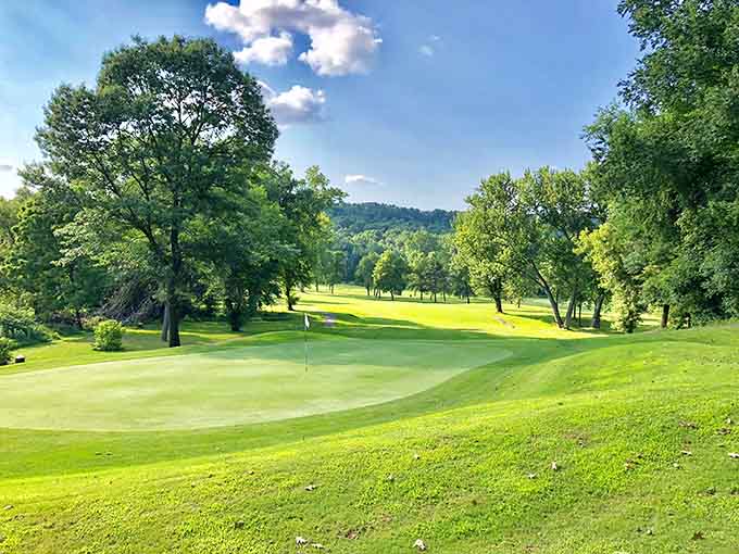 Emerald fairways roll toward distant bluffs, creating the kind of golf scenery that makes three-putting almost forgivable.