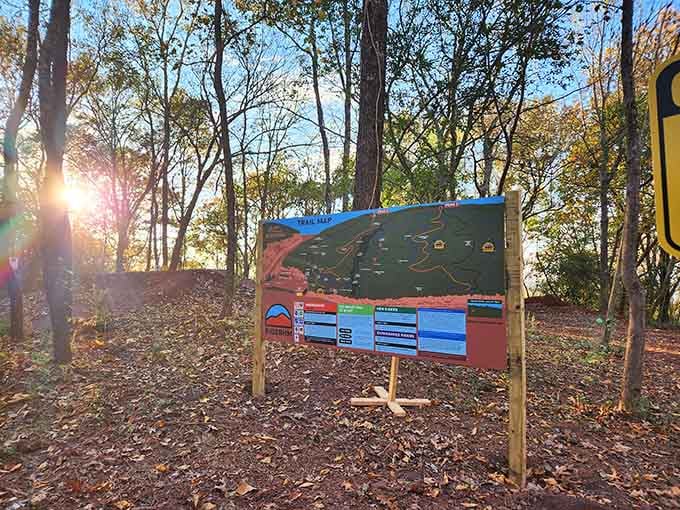 Morning sun illuminates the trail map, your guide to choosing between gentle cruising and heart-pounding descents ahead.