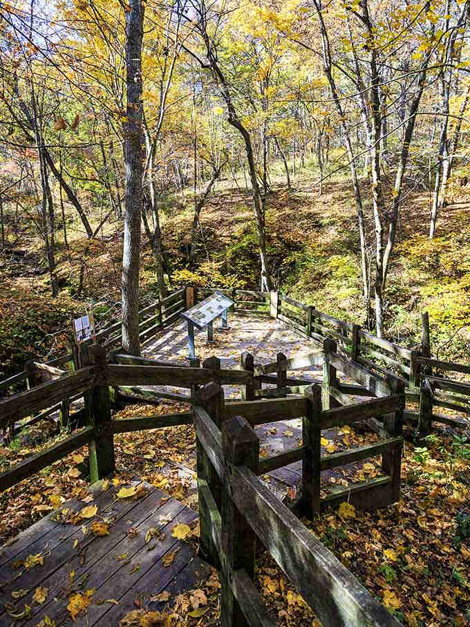 Multiple paths, endless possibilities, and not a wrong turn in sight during peak fall glory.