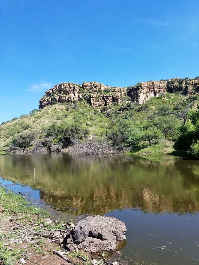 Unexpected water mirrors the rugged cliffs, proving the desert keeps secrets and occasionally shares them with patient visitors.
