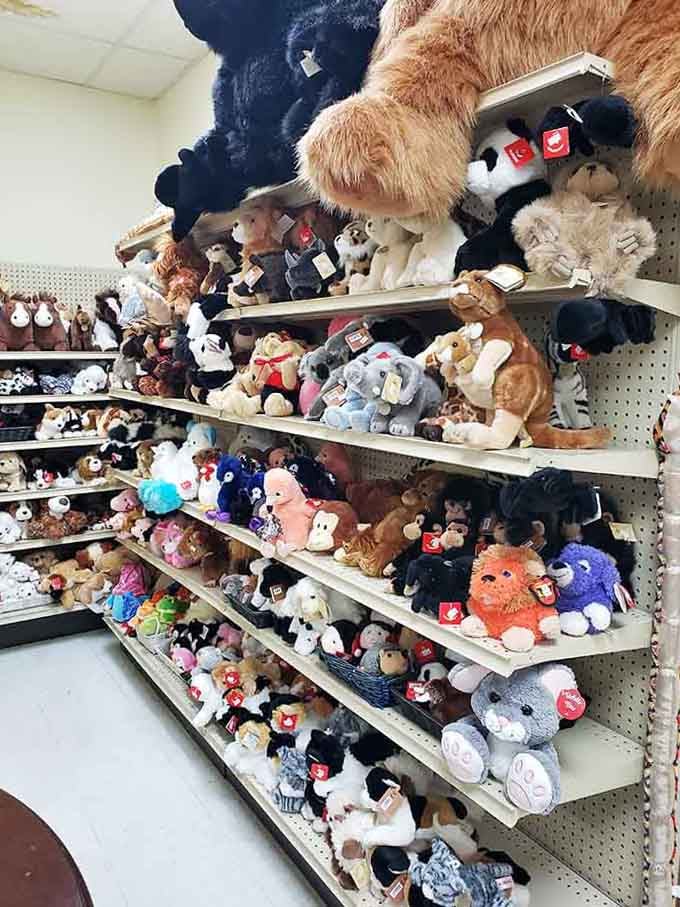 This stuffed animal collection rivals any toy store, turning a candy shop into a full-blown happiness emporium.