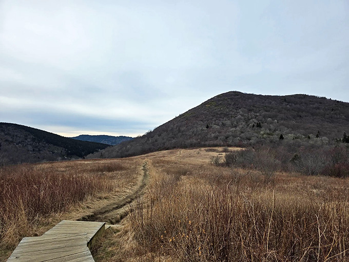 Wooden boardwalks protect the fragile ecosystem while giving you a front-row seat to the mountain's natural theater.