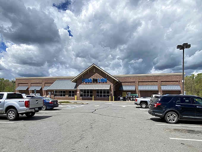 Even small towns need groceries, and this Food Lion serves the community without any big-city pretension.