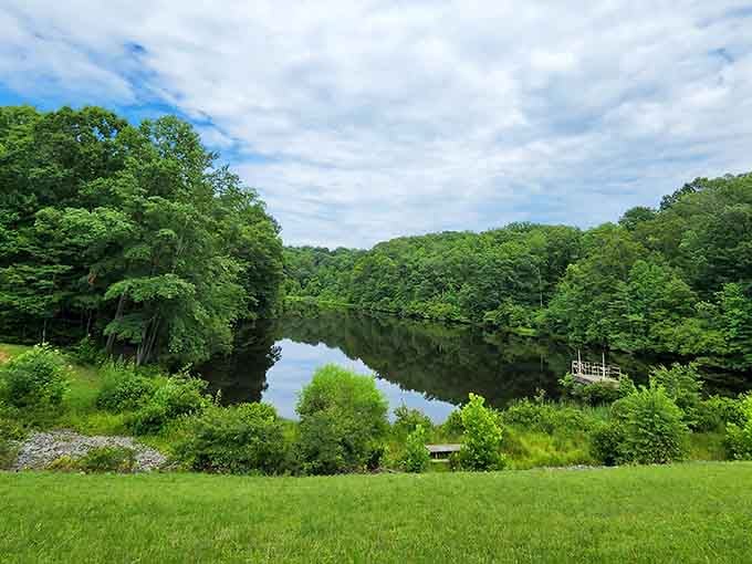 Mirror-smooth water reflects endless green canopy, creating nature's own postcard without any digital filters needed.