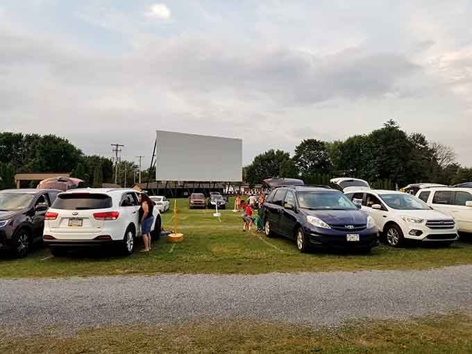 Families settle into their spots as dusk approaches, ready for double features and memories that'll last for years.