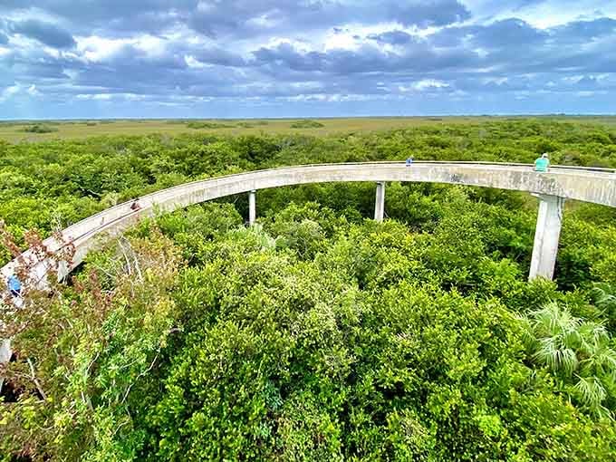 Proof that Florida isn't all beaches and strip malls&mdash;sometimes it's just gloriously, endlessly, beautifully green.