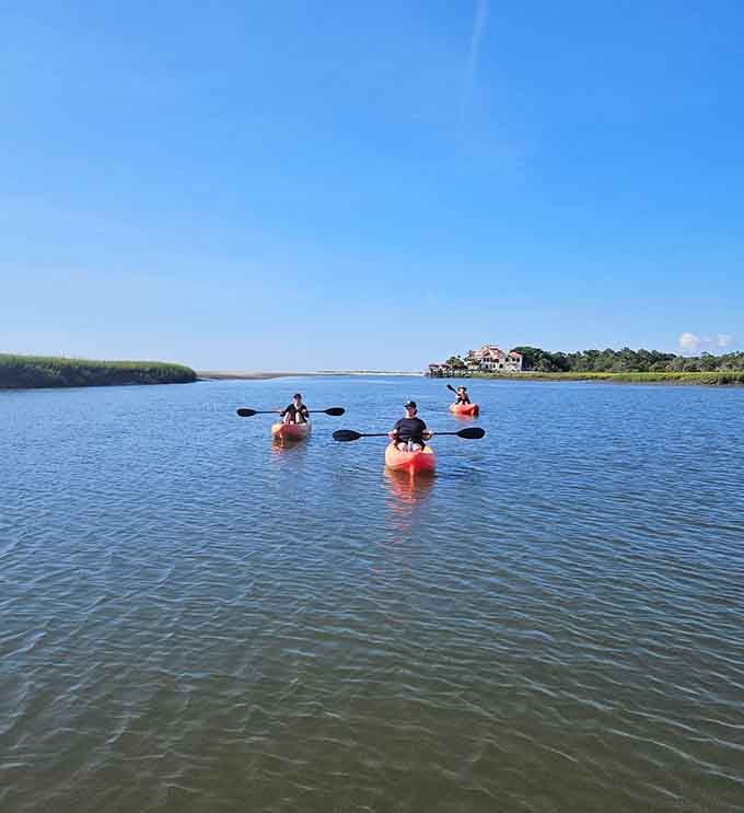 Paddling these calm waters offers a different perspective on fossil hunting and pure coastal tranquility.