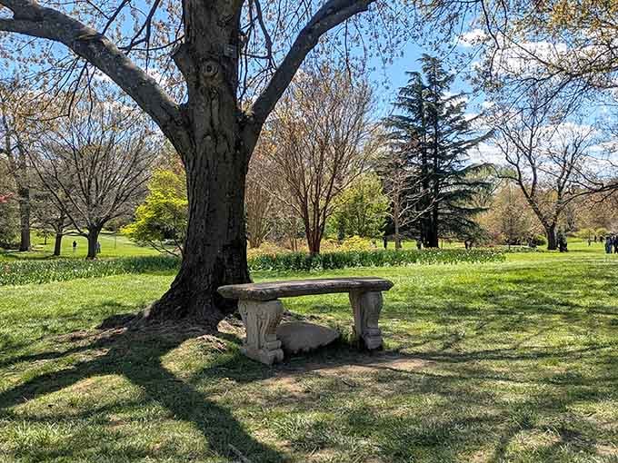 Stone benches under ancient trees&mdash;this is where you sit and contemplate why you don't visit more often.
