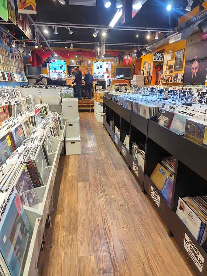 Organized chaos at its finest, where every aisle promises discoveries you didn't know you desperately needed.